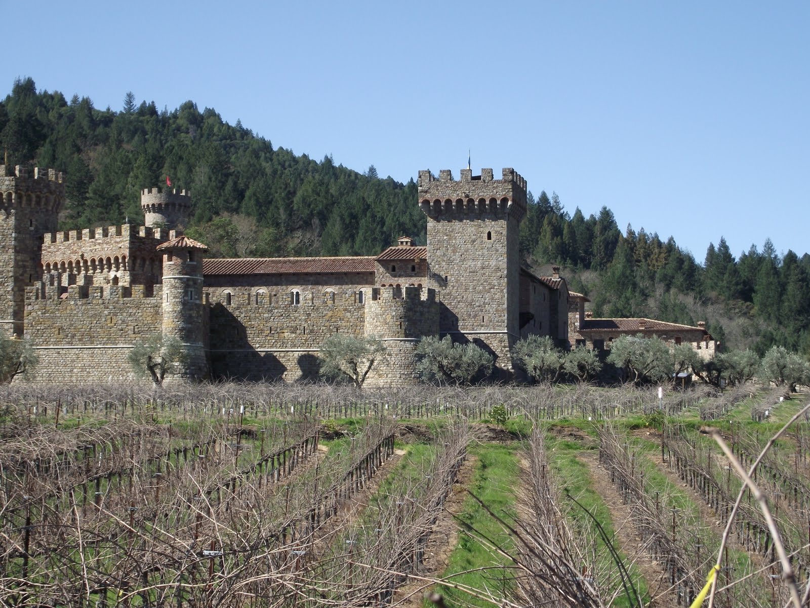 dwightthewinedoctor: Castello di Amorosa: Napa Valley wine from a ...