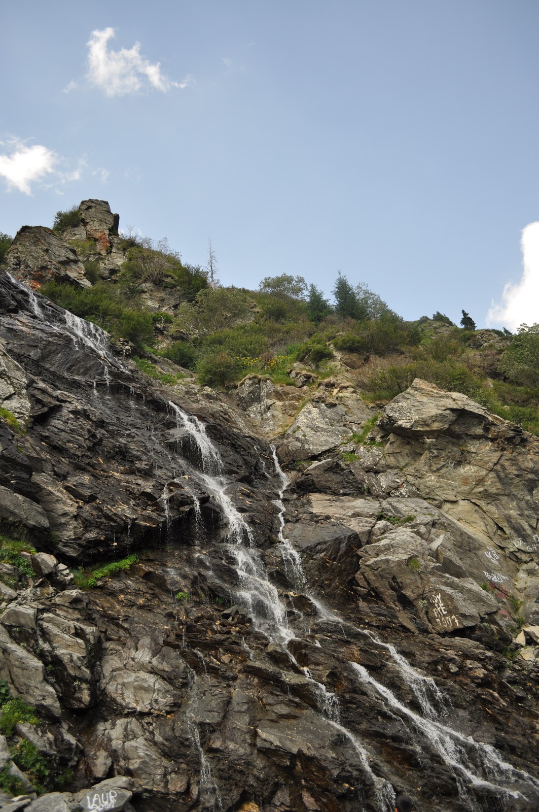 Poze, Natura, Animale, Plante, Romania, Valcea, Ionut Ungureanu