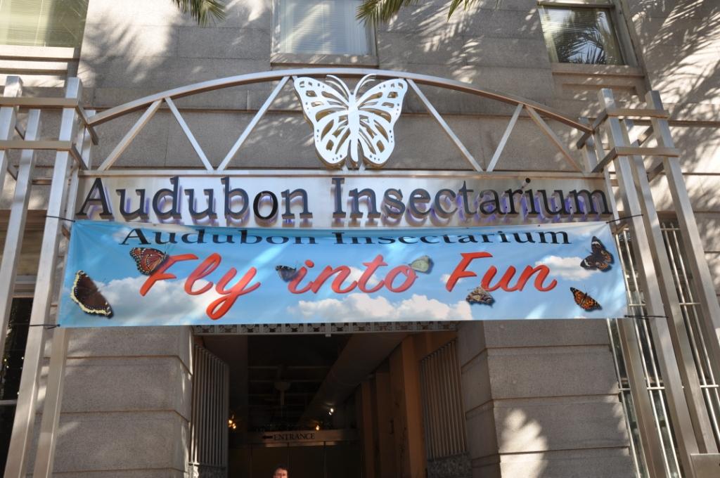 Savor The Days: Audubon Insectarium in New Orleans