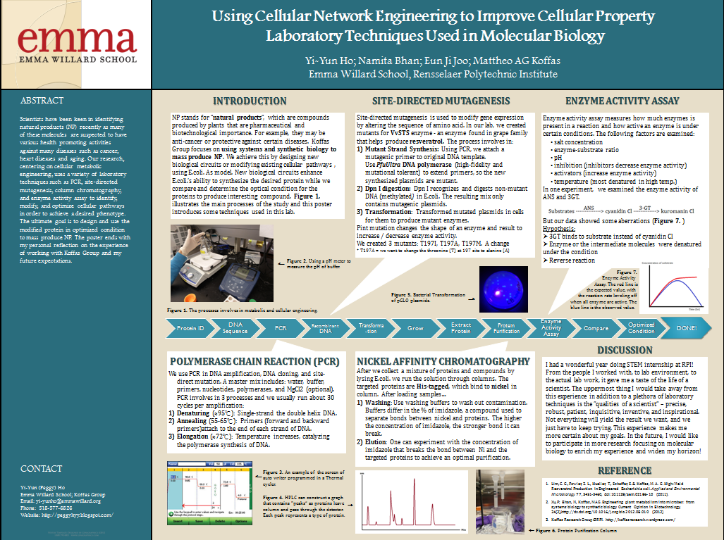 Peggy's Intern Diary: End of the Year Poster Section