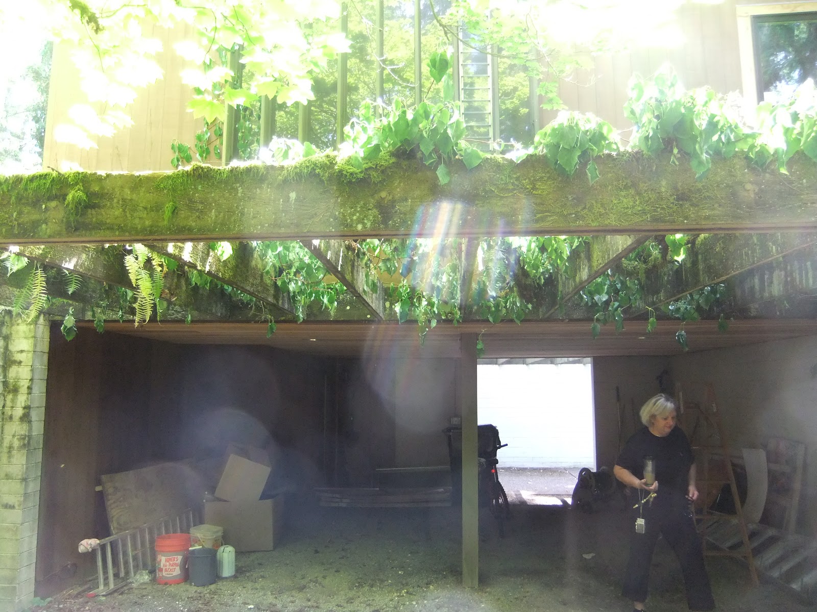 ART+ARCHITECTURE+TRAVEL: ARCHITECT ALAN LIDDLE HOUSE