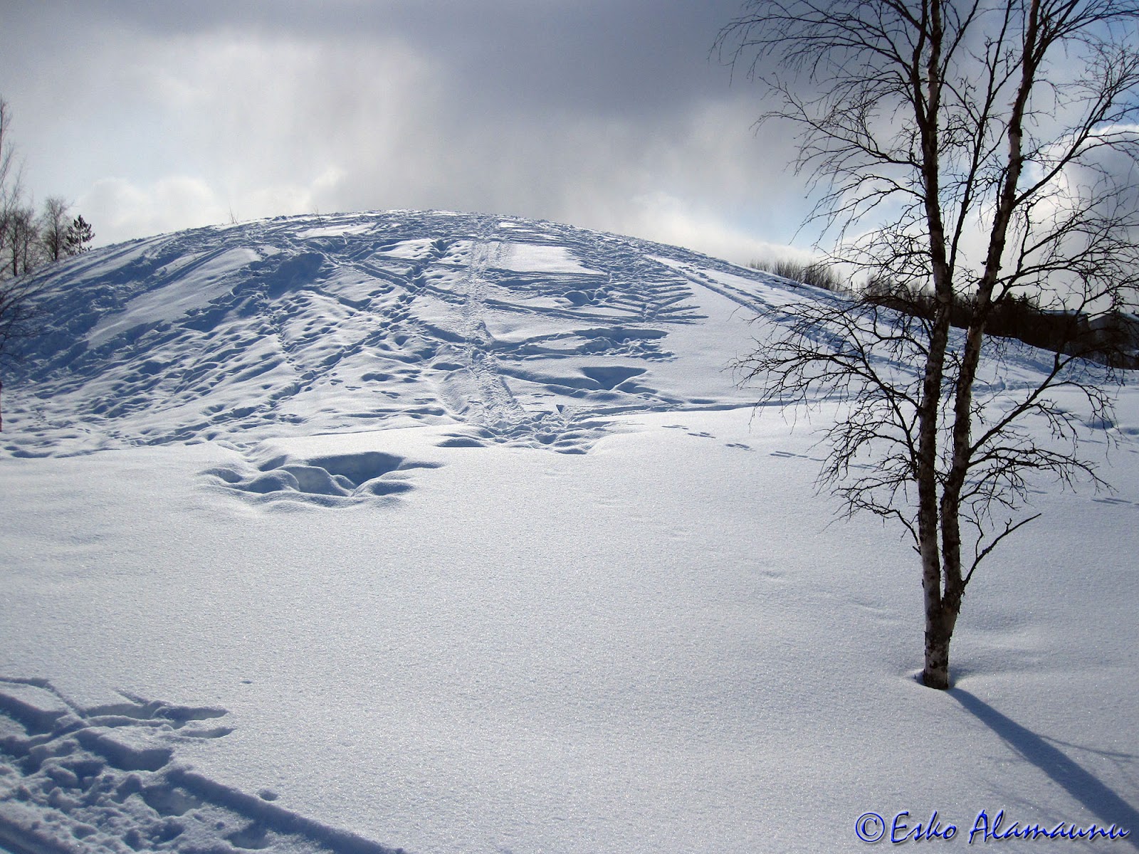 Eko-Kuvia: Talvi jatkuu...