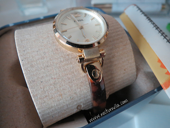 Fossil & Shade Station - NOCTURNELLA