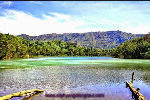 WISATA DIENG | FOTO GAMBAR - DIENG TOUR ADN TRAVEL