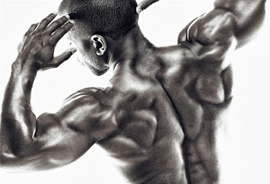 Who got the Best Back Muscles? | Bodybuilding and Fitness Zone