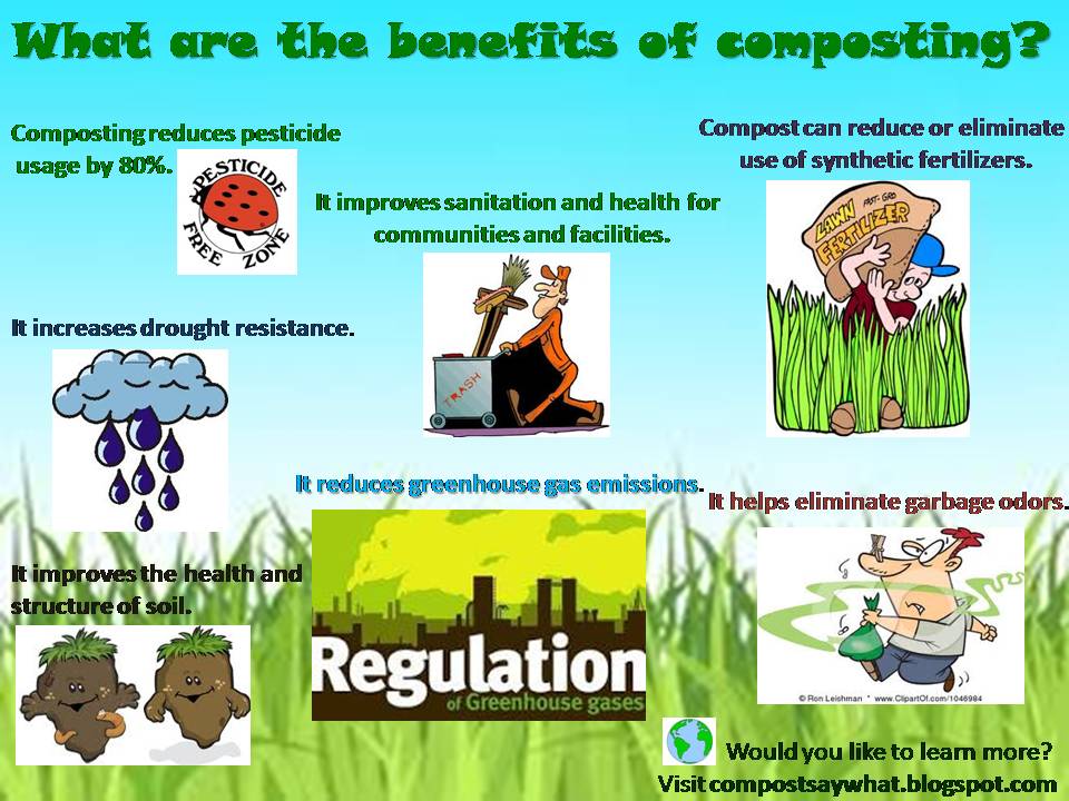 Compost Say Whaaaat 