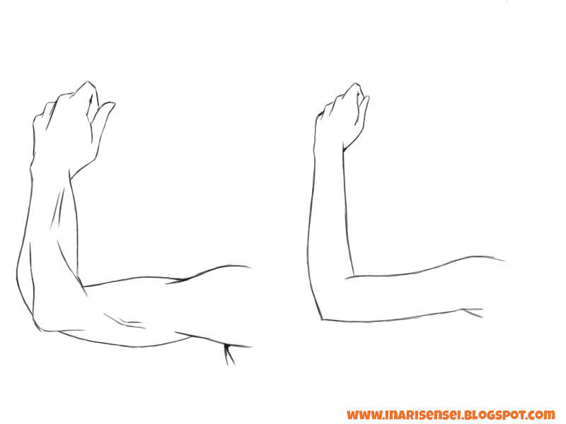 Les Cours Mangas d'Inari Sensei : Tutoriel: Les bases pour dessiner les ...