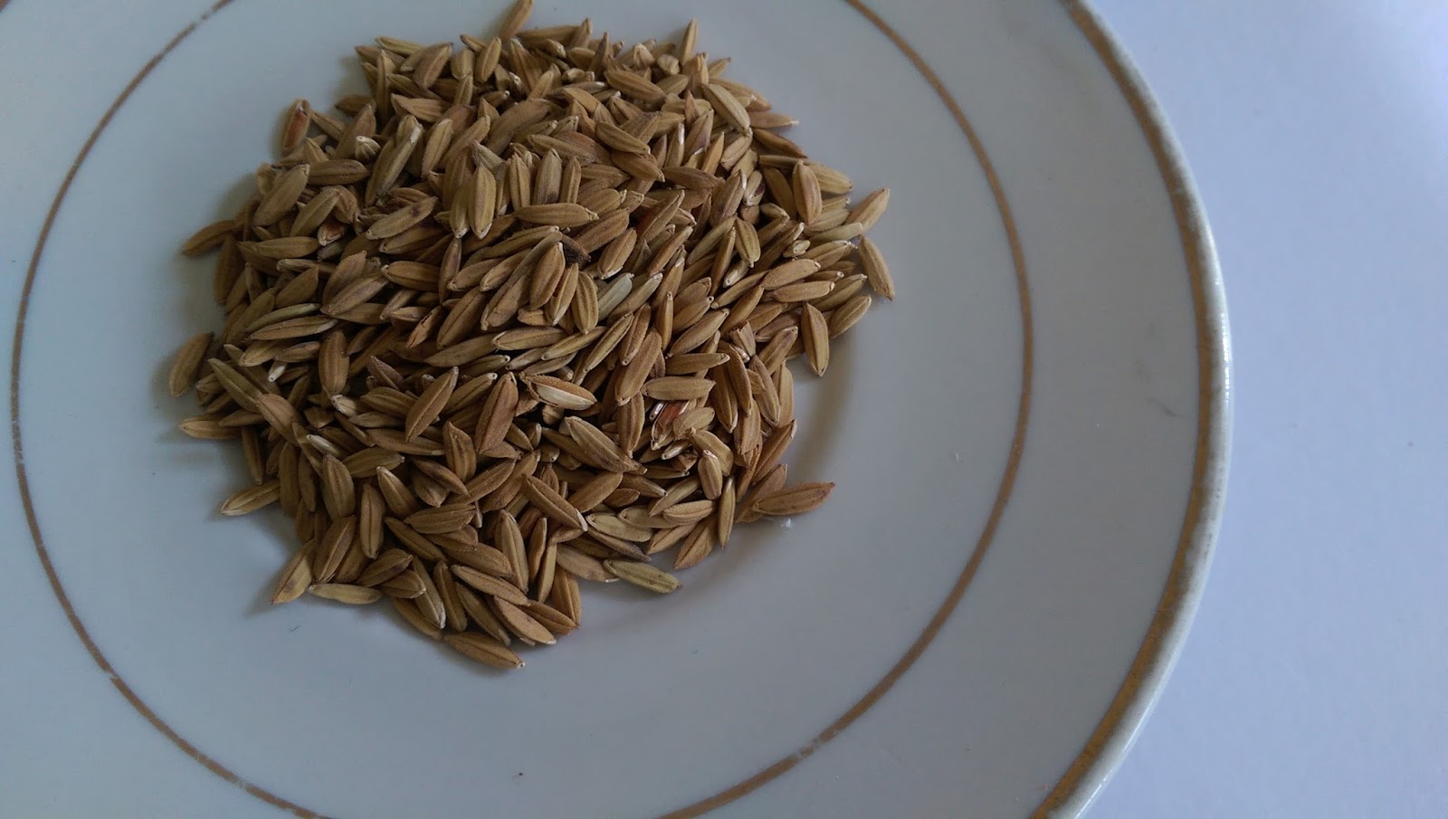 Choose Ghana Brown and Parboiled Rice-FOOD Nutrition - PAQsoft Solutions