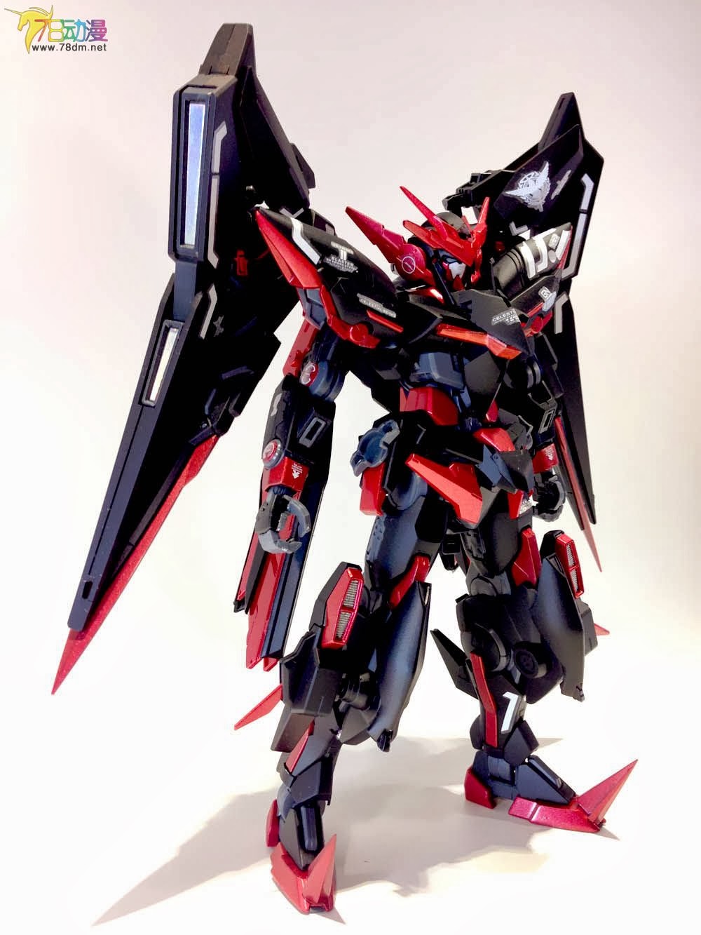 Custom Build: 1/100 Dark Matter 00 Raiser
