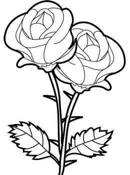 Desenhos Imprimir Colorir: Flores