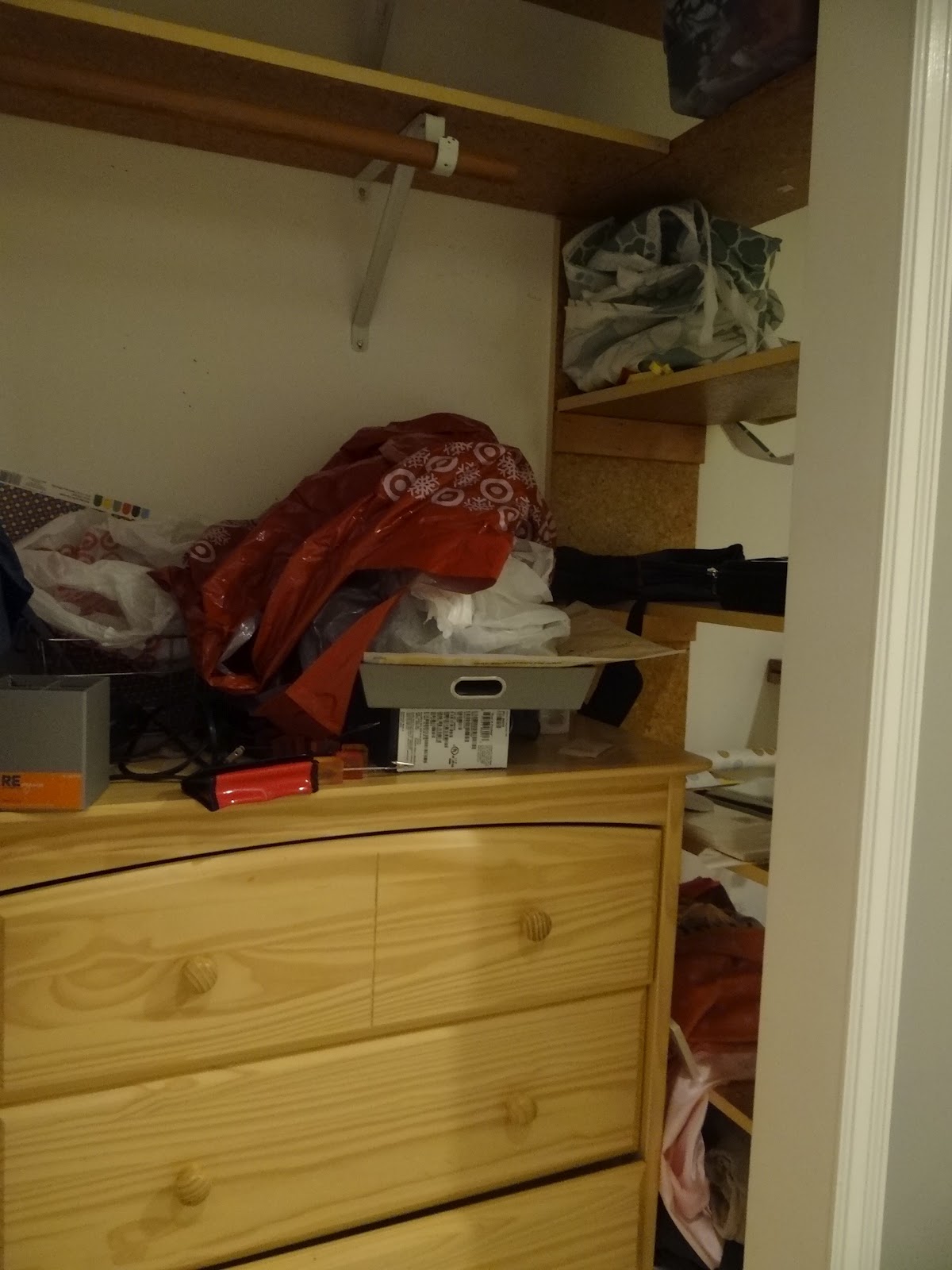 One Project at a Time - DIY Blog: Disaster Closet #5