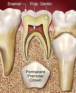 Dentistry and Medicine: Pulp therapy for primary teeth