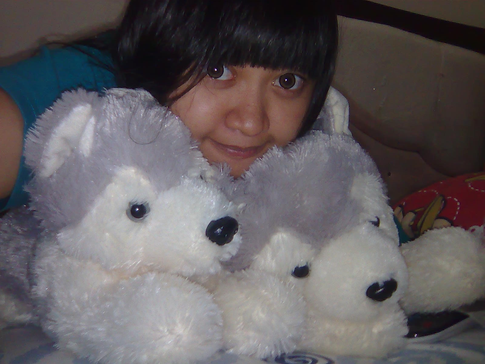 Everything: Koleksi Boneka Serigala atau Siberian Husky