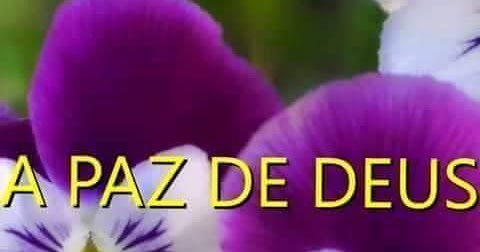 Mensagens para o Coração: A paz de Deus