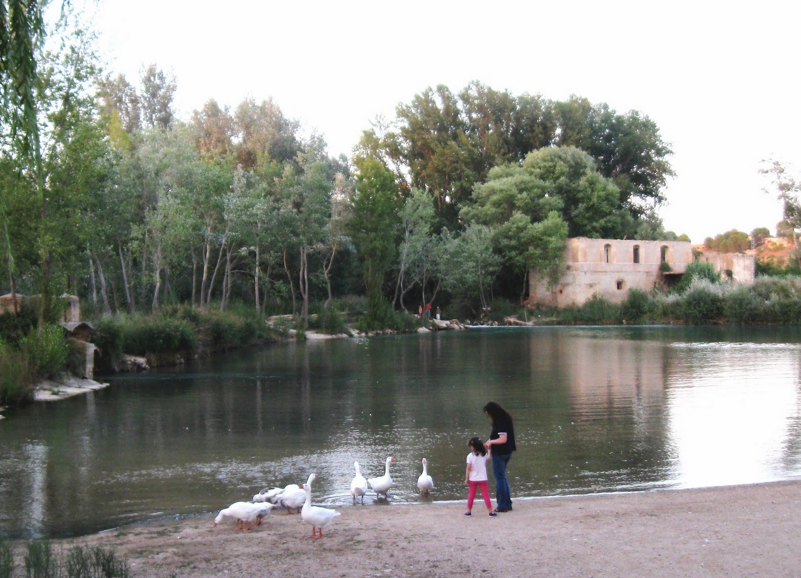 EL BLOG DE GUADALAJARA Y CUENCA: UN PUEBLO DE LA MANCHA: EL PICAZO