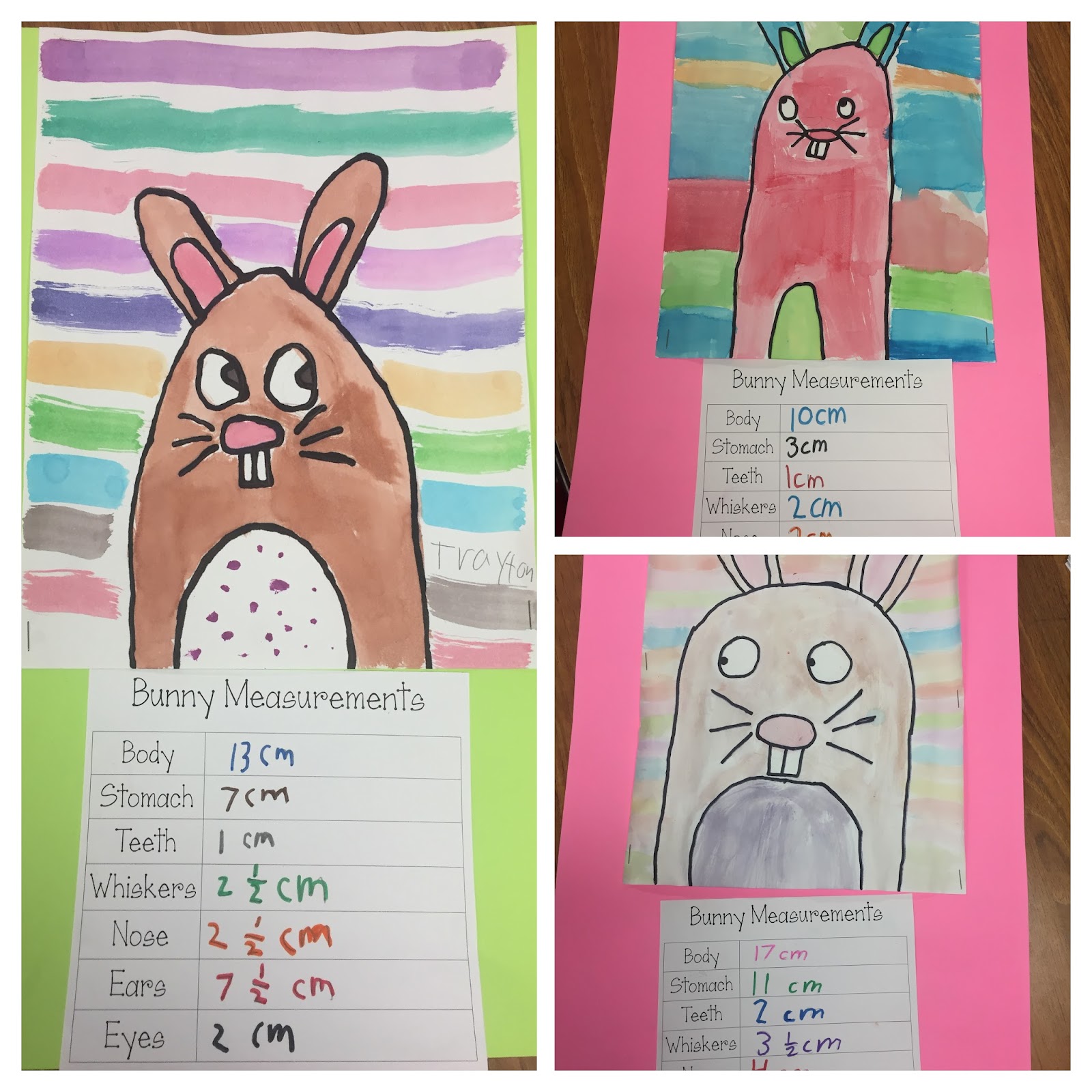 Mrs. Howard's Busy Bees : Bunny Measurements