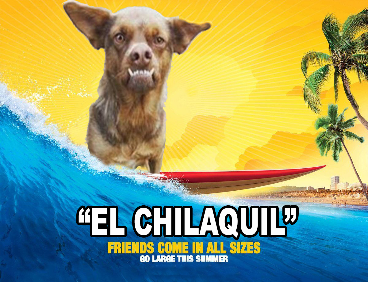 EL CHILAQUIL CONOCE AL PERRO MAS FAMOSO ~ Ale||Network 0