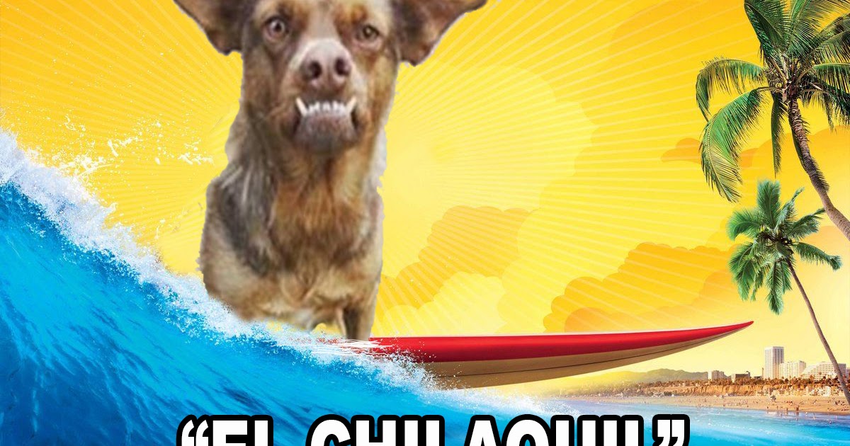 EL CHILAQUIL CONOCE AL PERRO MAS FAMOSO ~ Ale||Network 0