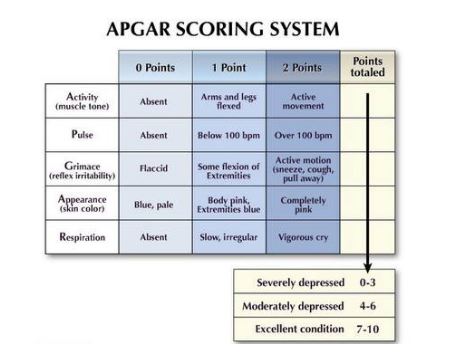 APGAR Score, Tes Yang Pertama Kali Dilakukan Pada Bayi Lahir - Pasien Sehat