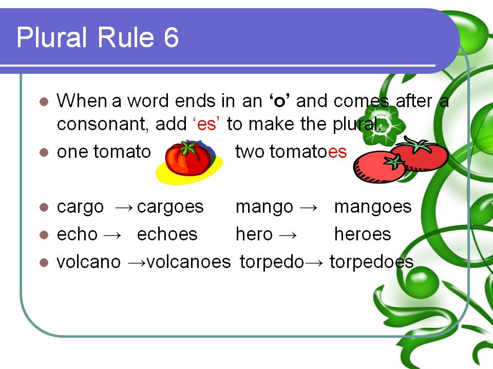 TAI CHOON LEE ( EL-M01 D20112052691) ENGLISH : Plural rules in English