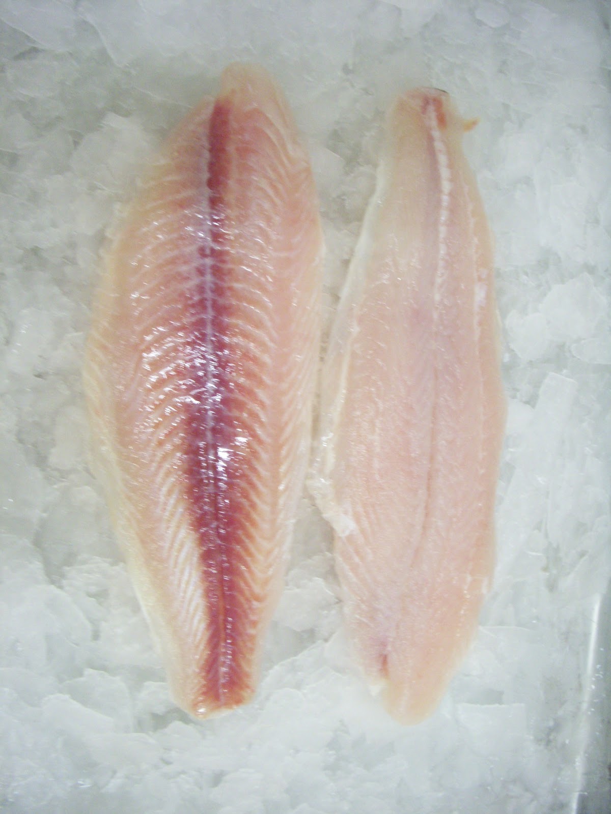 Bangus Belly Fillet Easy Recipe Try At Home! | Indonesia Milkfish ...