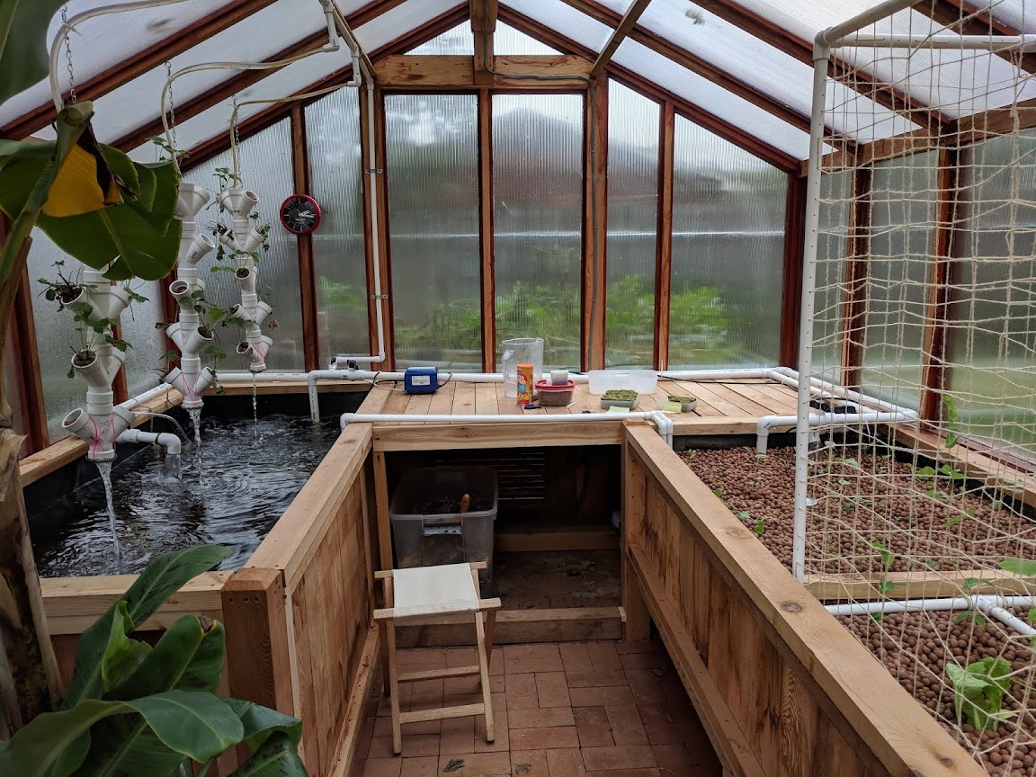 Life on the mini farm