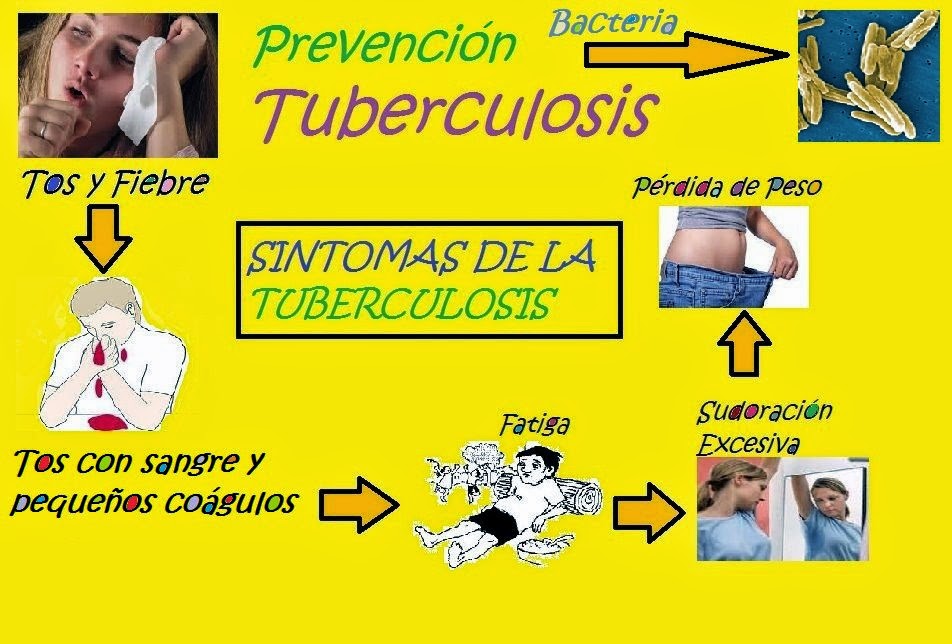 LA TUBERCULOSIS: INTRODUCCIÓN DE LA TUBERCULOSIS