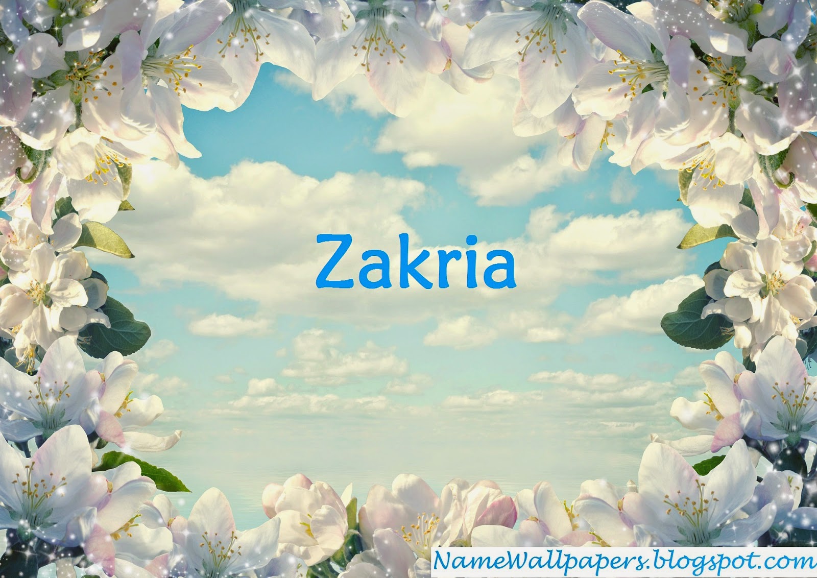 Zakria Name Wallpapers Zakria ~ Name Wallpaper Urdu Name Meaning Name ...