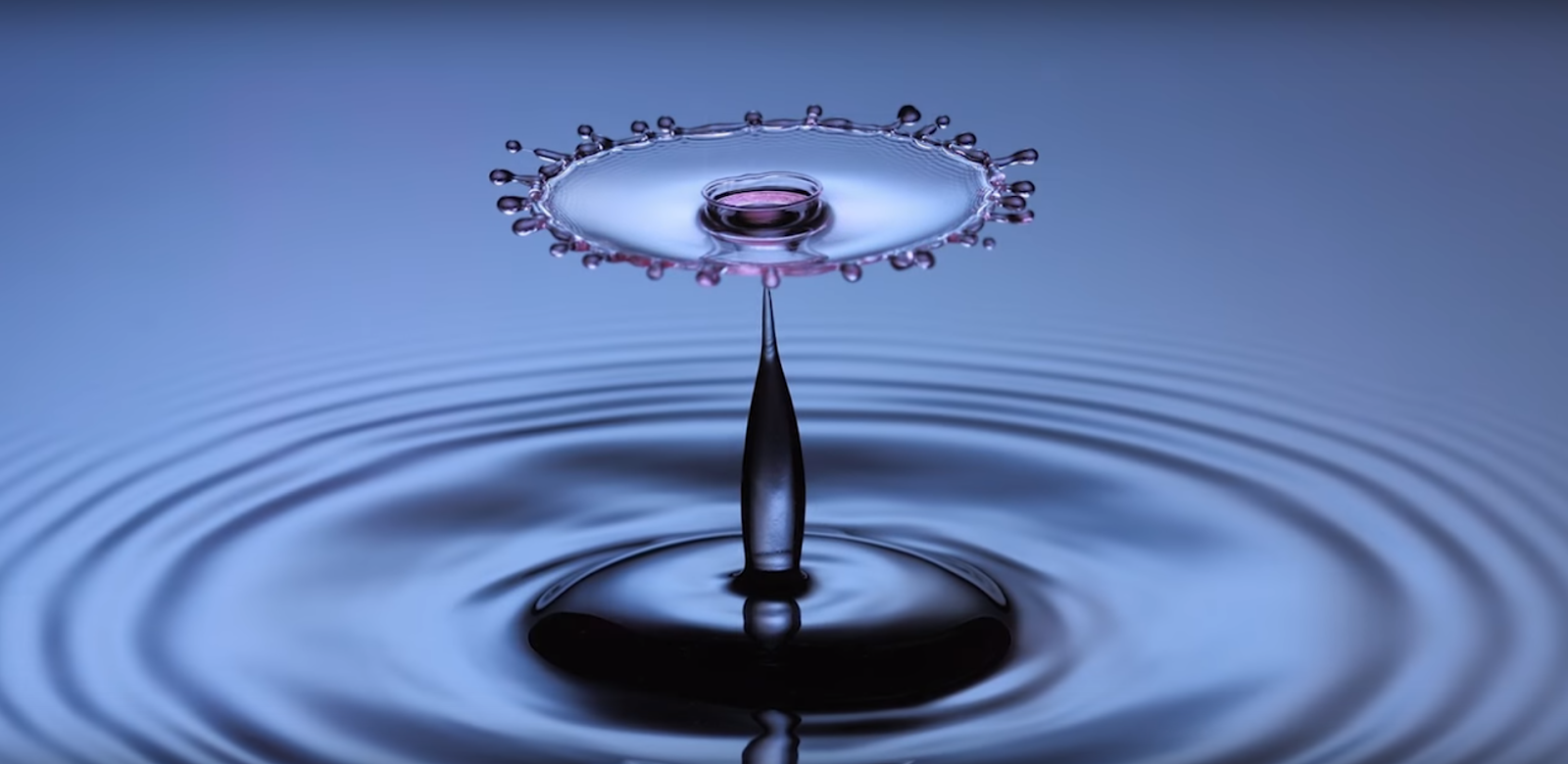 Augureye Express: Why I Love Cameras!