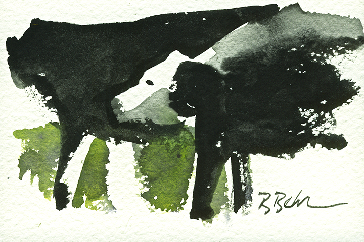 BehrCritters: Two cows walking