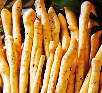 México a través de la mirada de una cubana: Palitroques y Pan de Gloria