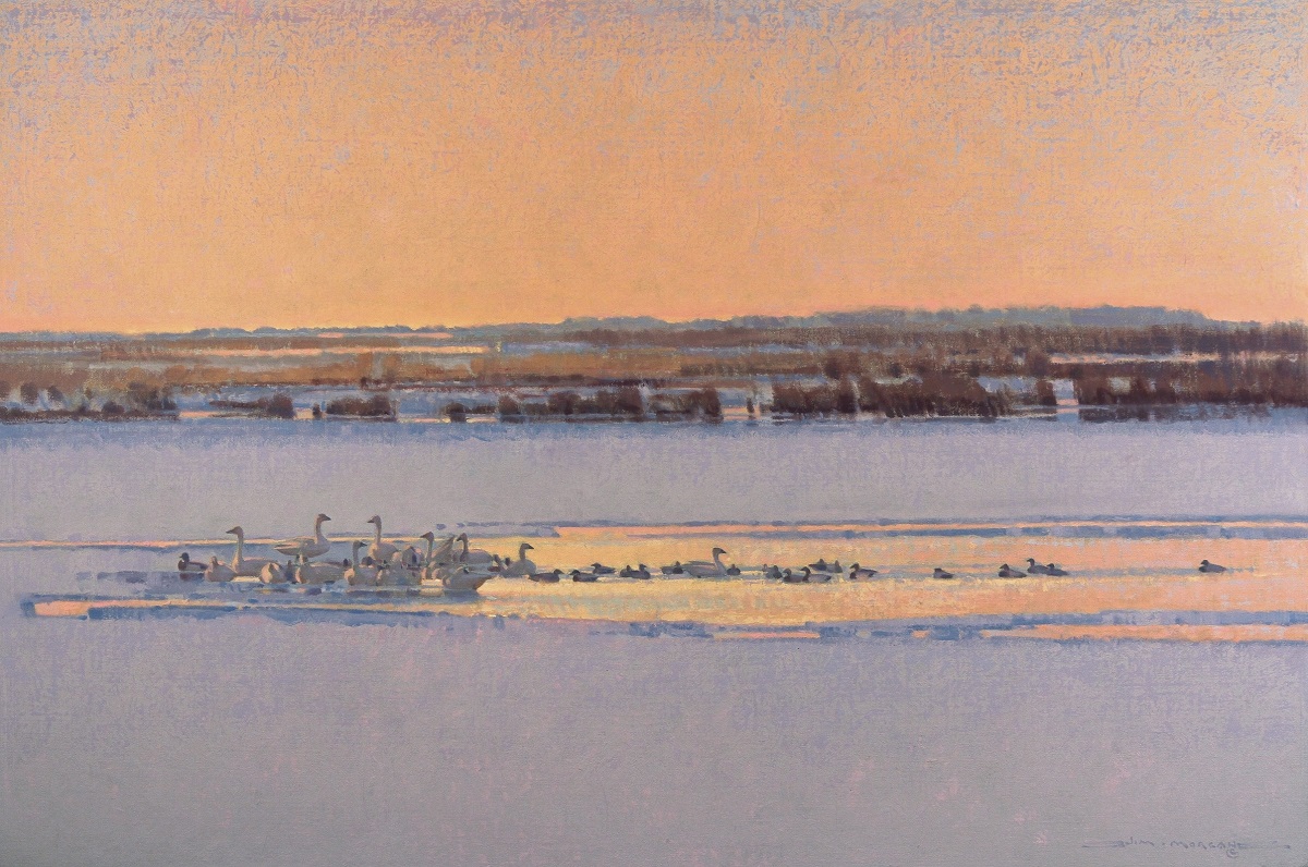 Jim Morgan Art: Current Works