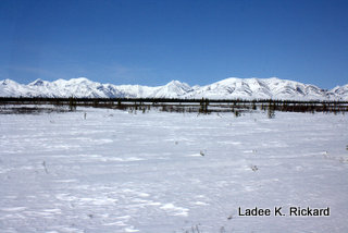 Ladee's Travels: Alaska - Summit of the Continental Divide