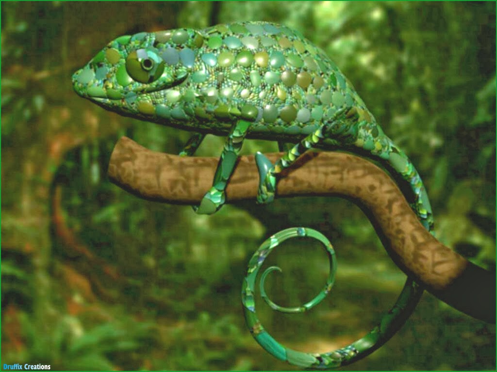 Colima: Recursos de Colima