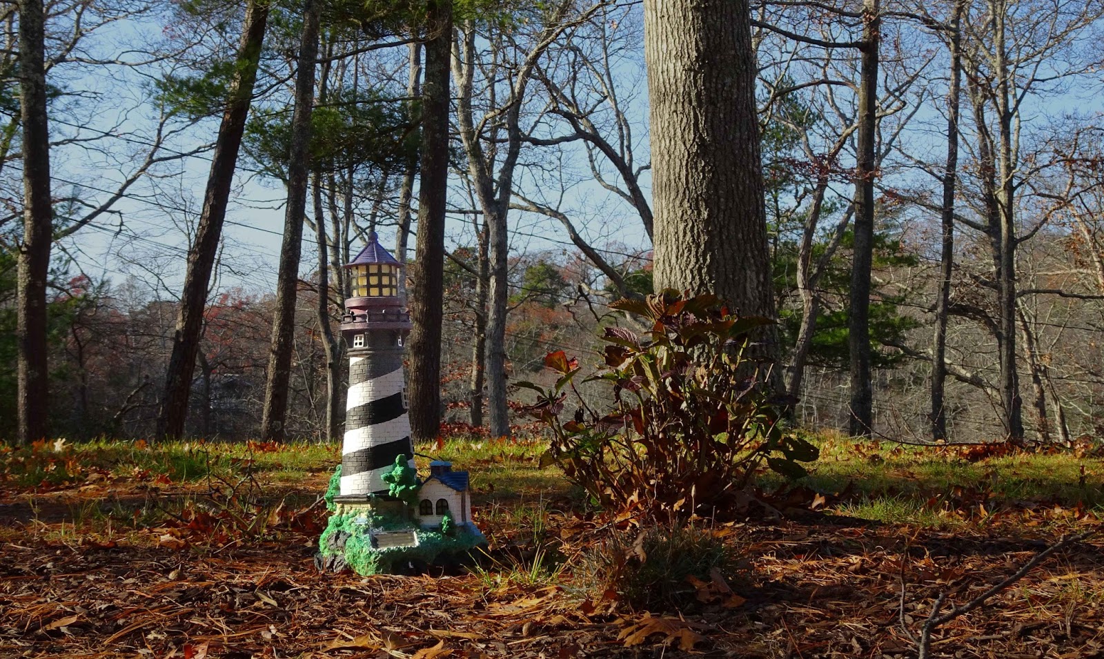 Joe's Retirement Blog: Shadowman Walks on a Sunny Day, Manomet ...