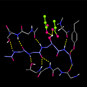 METABOLISME KALSIUM, FOSFAT, VITAMIN D,HORMON THYROID, PARATHYROID ...