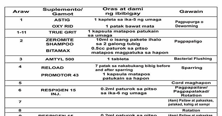 14 - day conditioning program | sabong sa pinas
