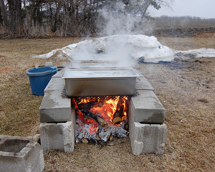 Joyfully Becca: how to make maple syrup: step by step