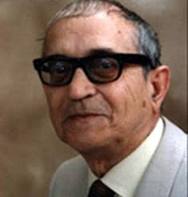 o mundo parece de algodão: ALEXANDRE PINHEIRO TORRES