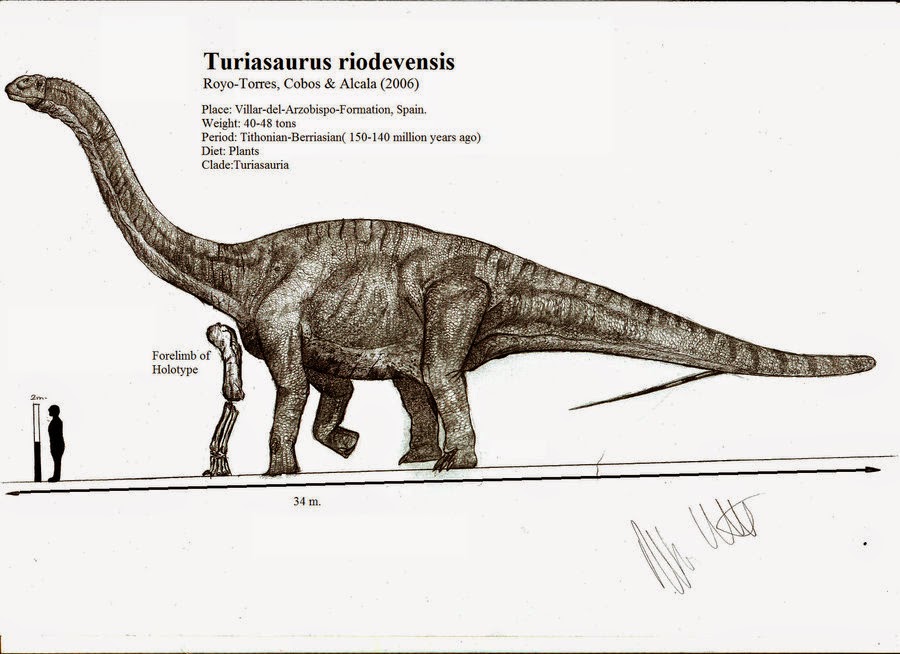 10 Dinosaurus Terbesar Yang Pernah Hidup di Bumi