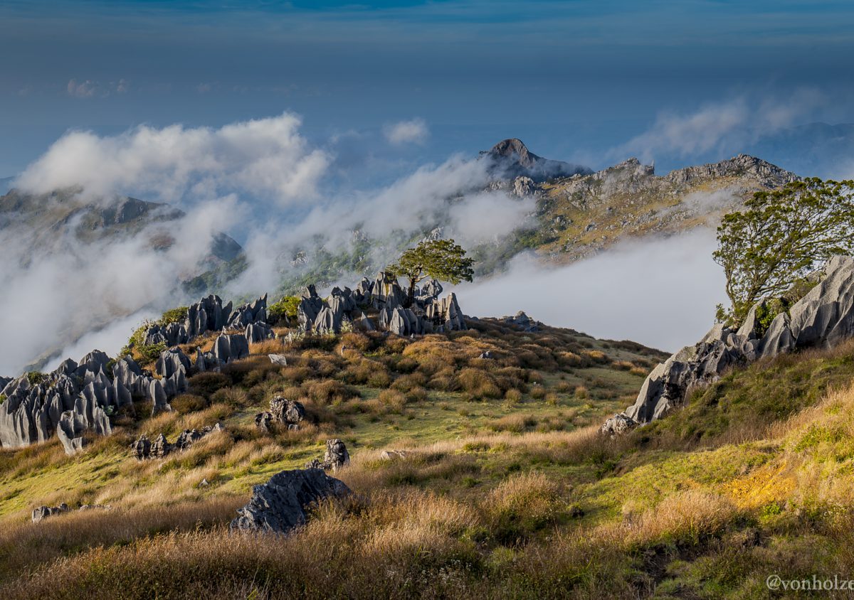 Rosito Guterres "Deynisi": Konseitu Sustentabilidade no Pratikas ...