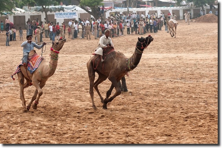 Pushkar Fair and Festival Tours ~ Rajasthan Tour Planner