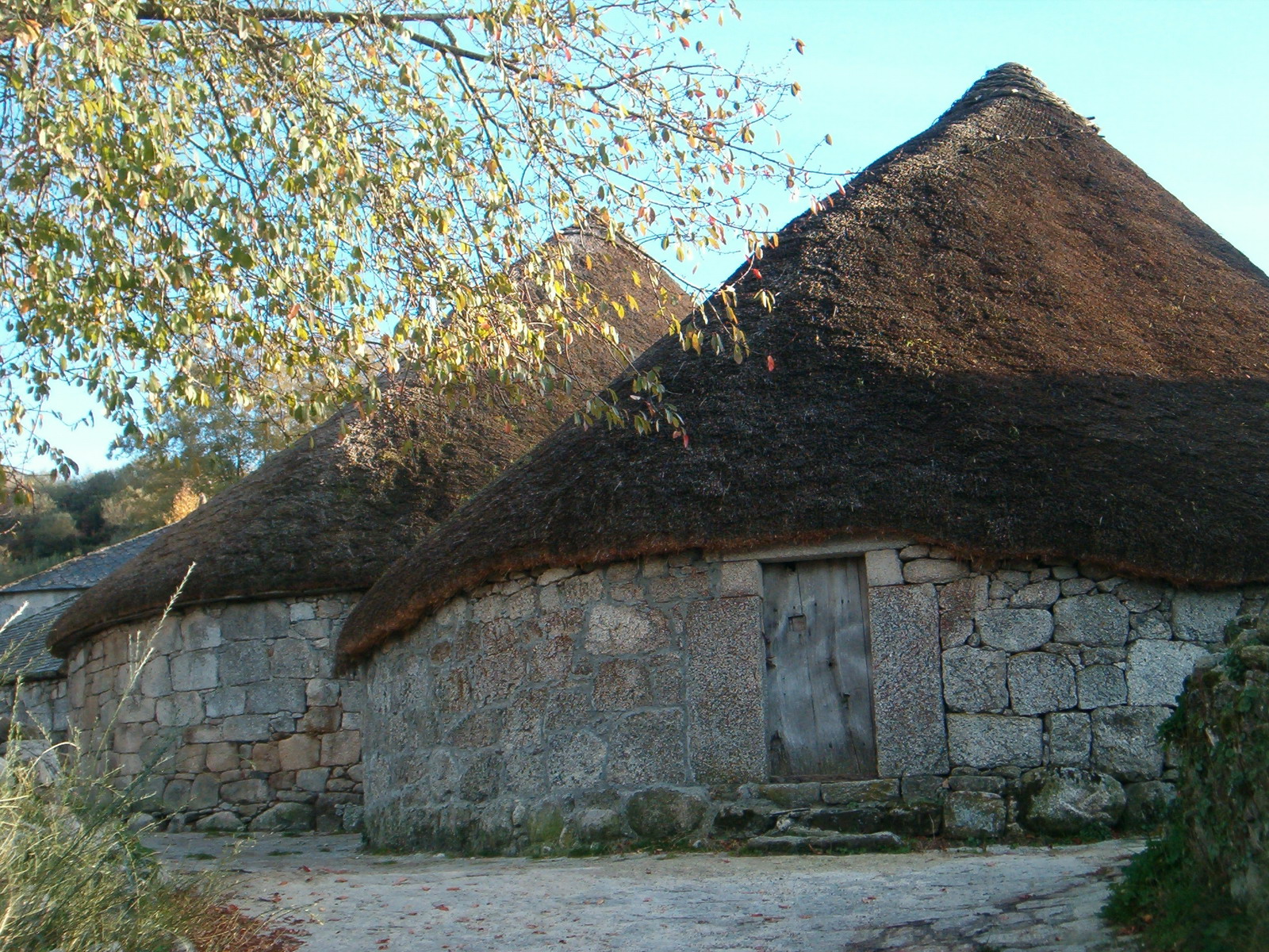 habitatio_népi: Palloza, Piornedo, Galicia, Spanyolország