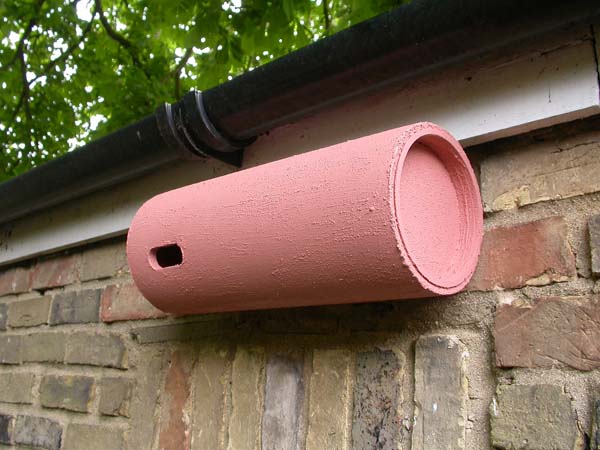 Action for Swifts: Recycled Water Pipe Swift Nestbox