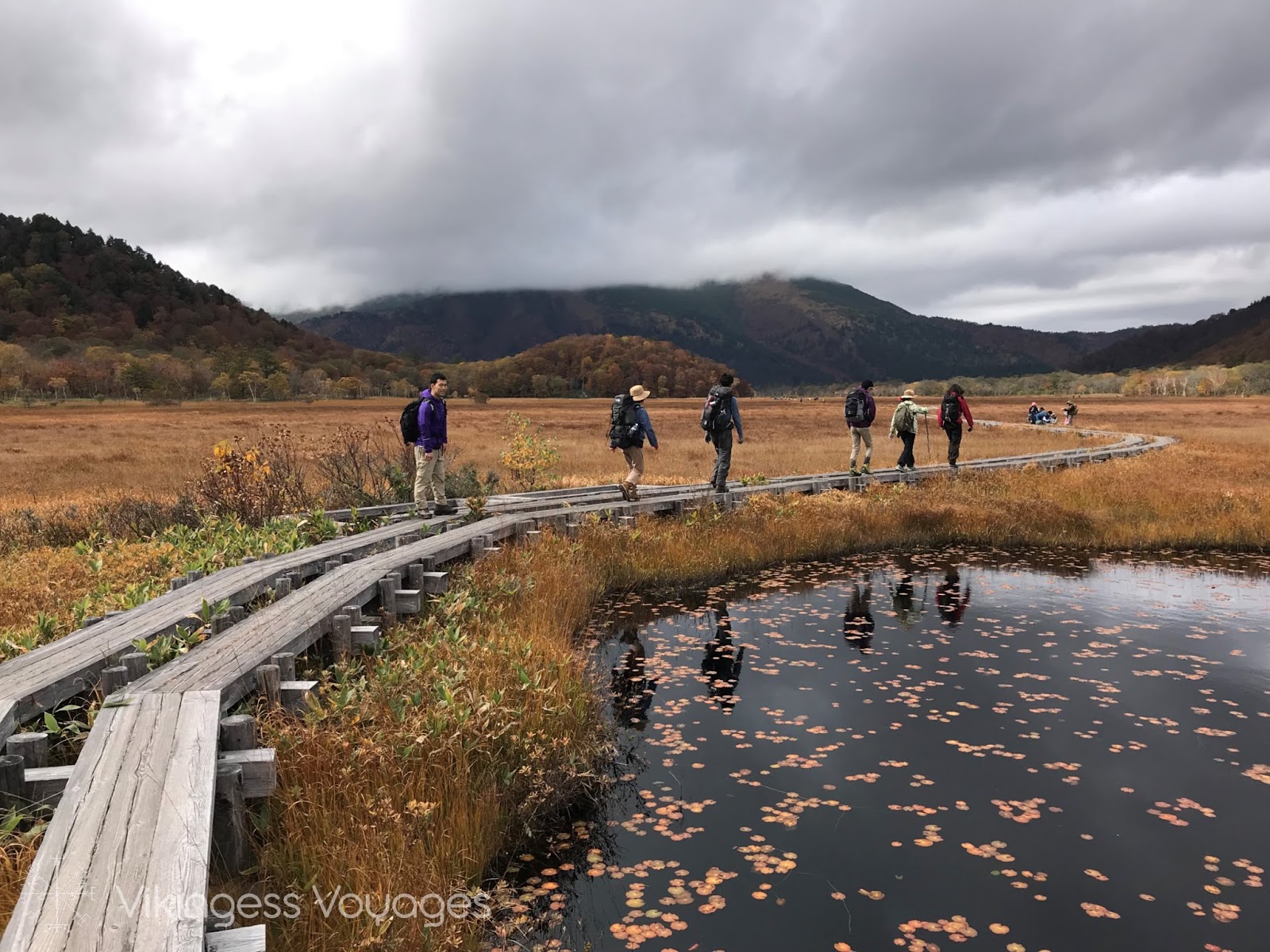 Gunma: How to enjoy the Autumn Foliage at Oze National Park - Vikingess ...