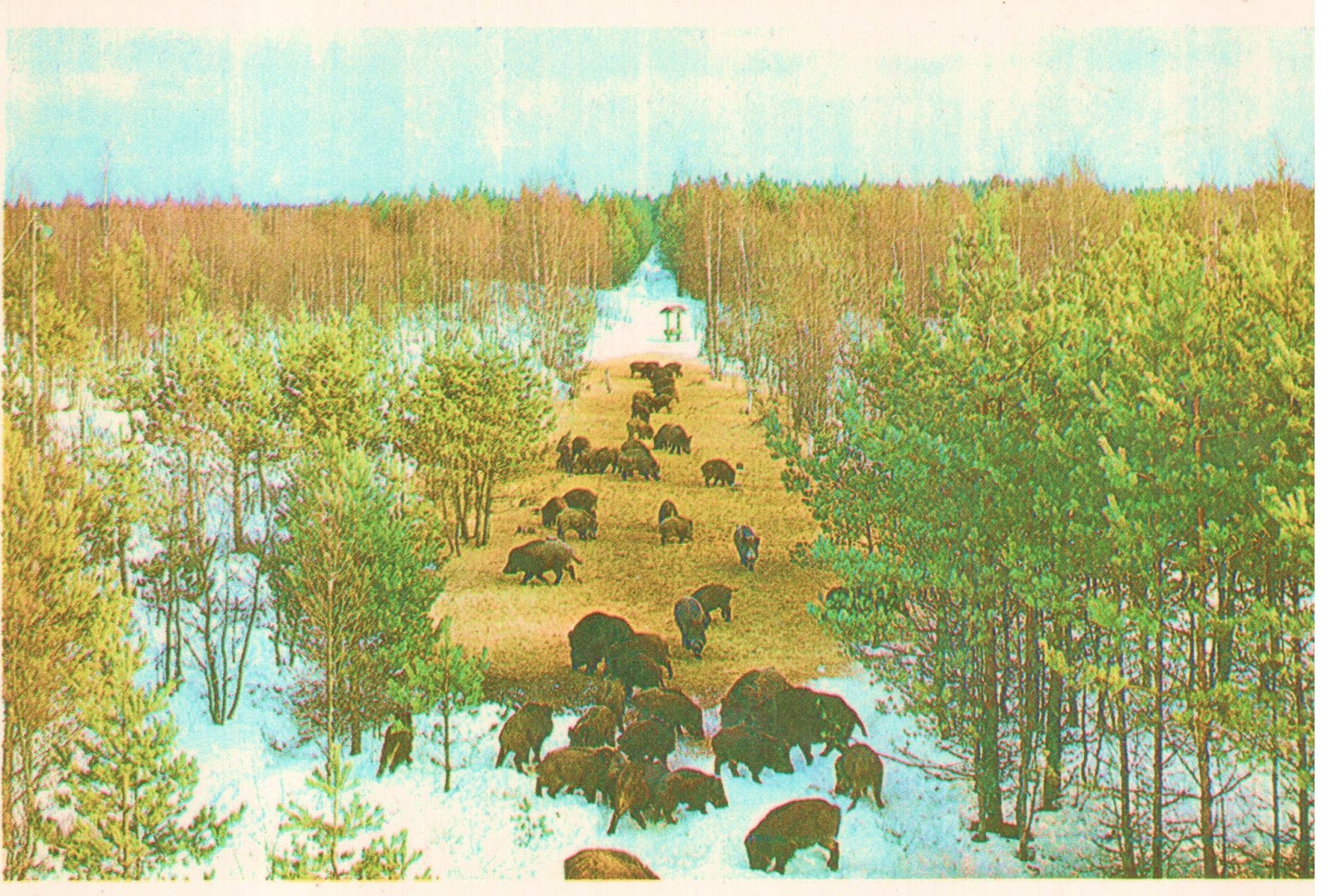 Vaba Eestimaa Ajaleht: PELMEENIDEST - Lembitu Twerdjanski