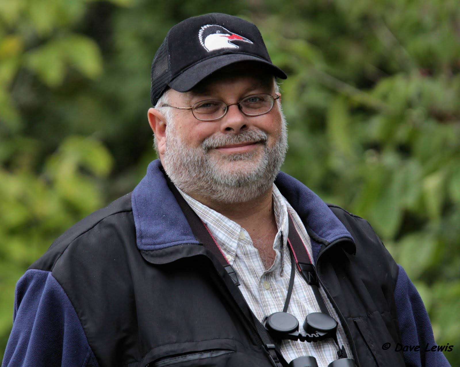 Birds from Behind : 16 October 2011