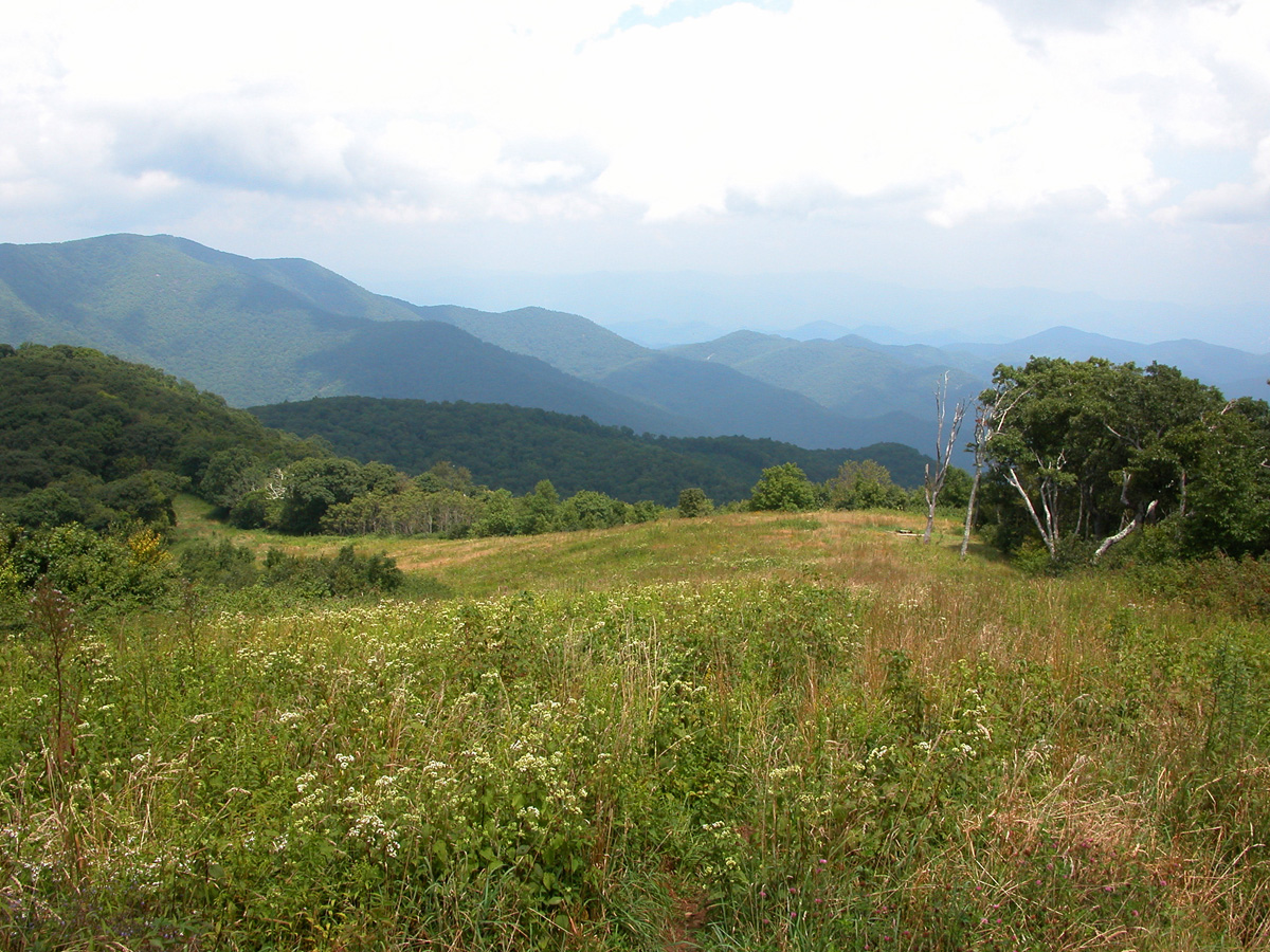 Ralph Preston Photography: North Carolina's Mountain Treasures