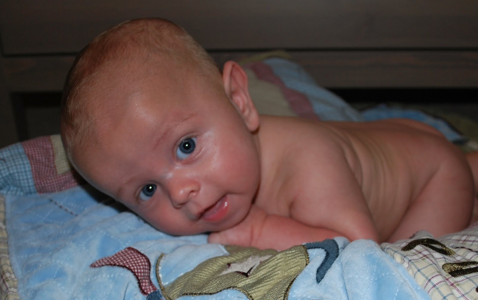 The Pugmires: "NaKiE bOy"