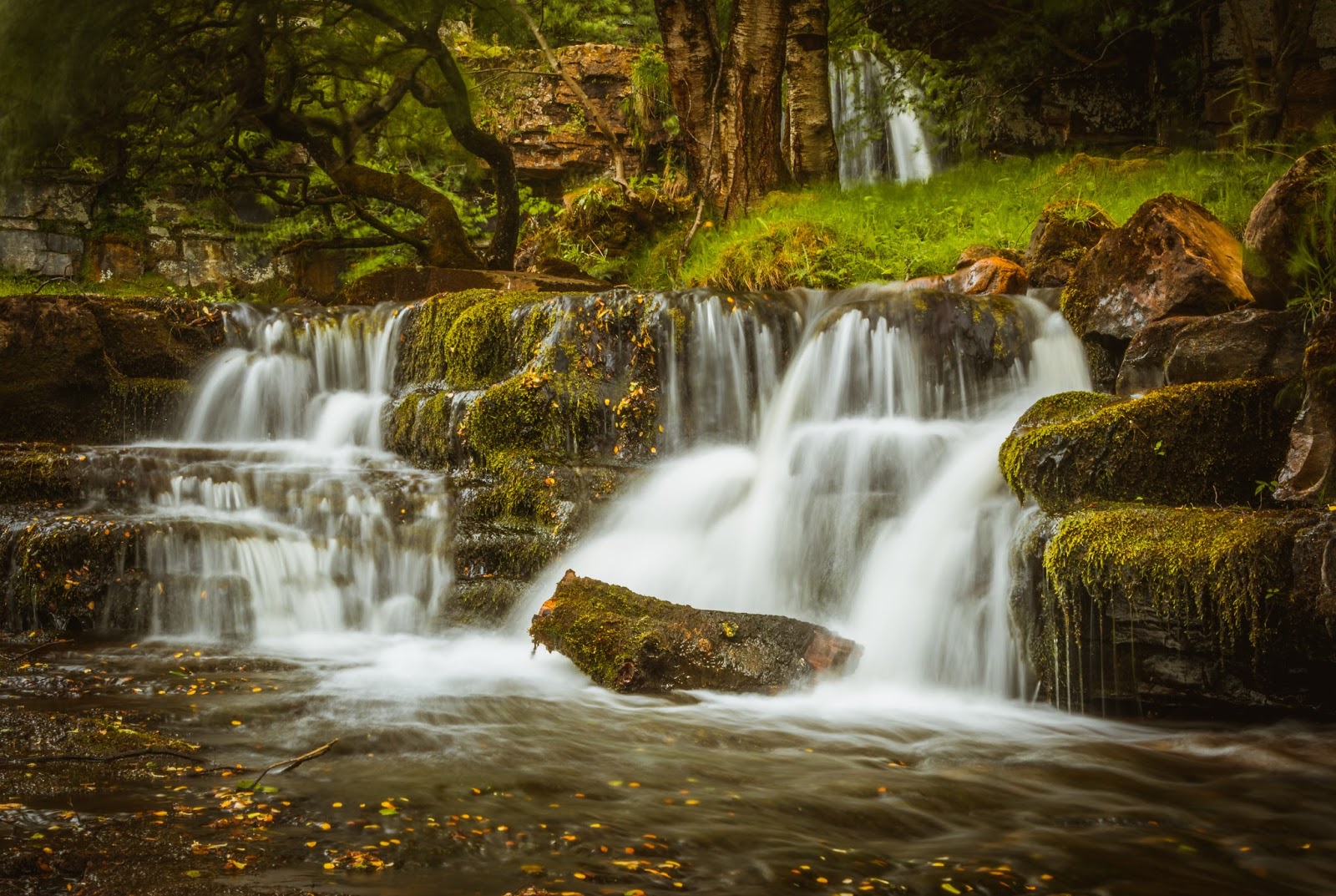 Yorkshire Waterfalls: East Gill Force